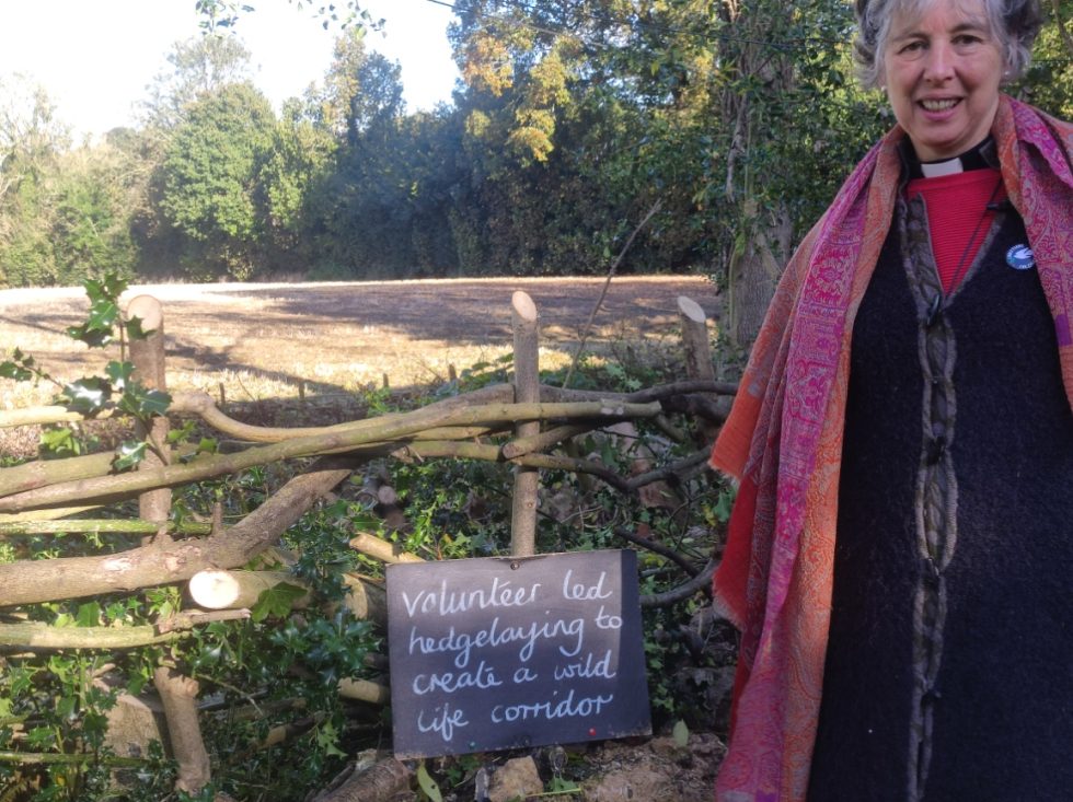 HEDGELAYING A-Z - Septimus Works (Robert Cole)