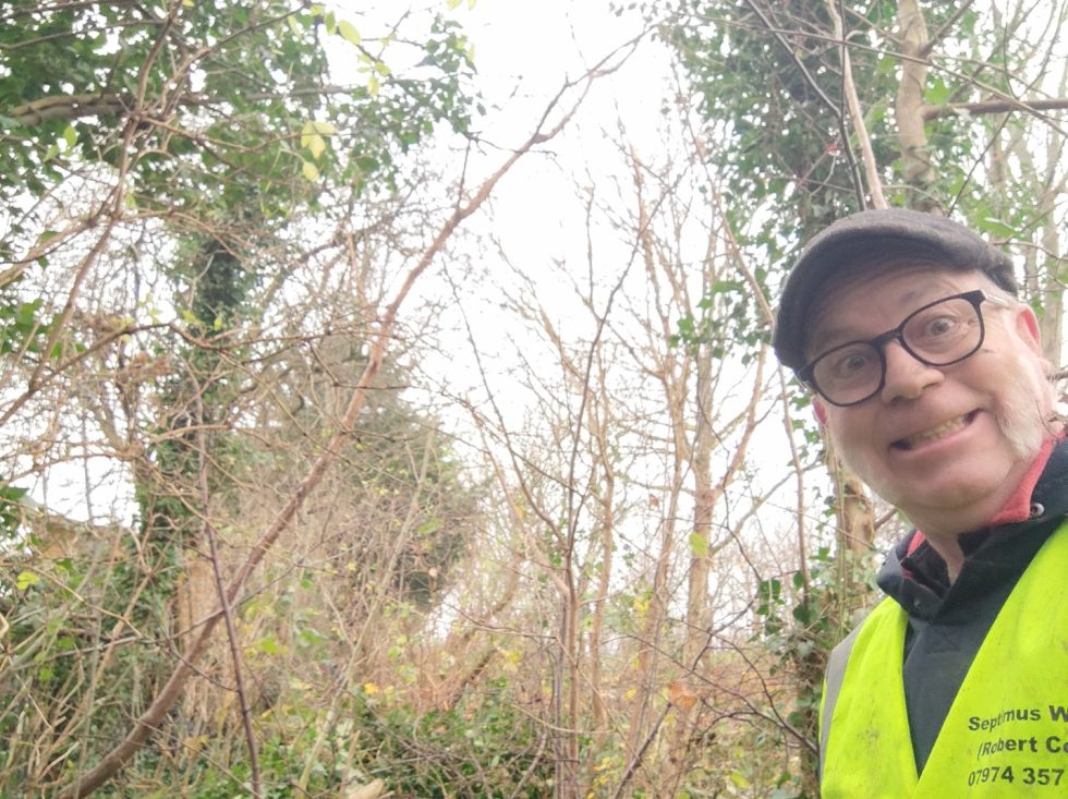 HEDGELAYING A-Z - Septimus Works (Robert Cole)